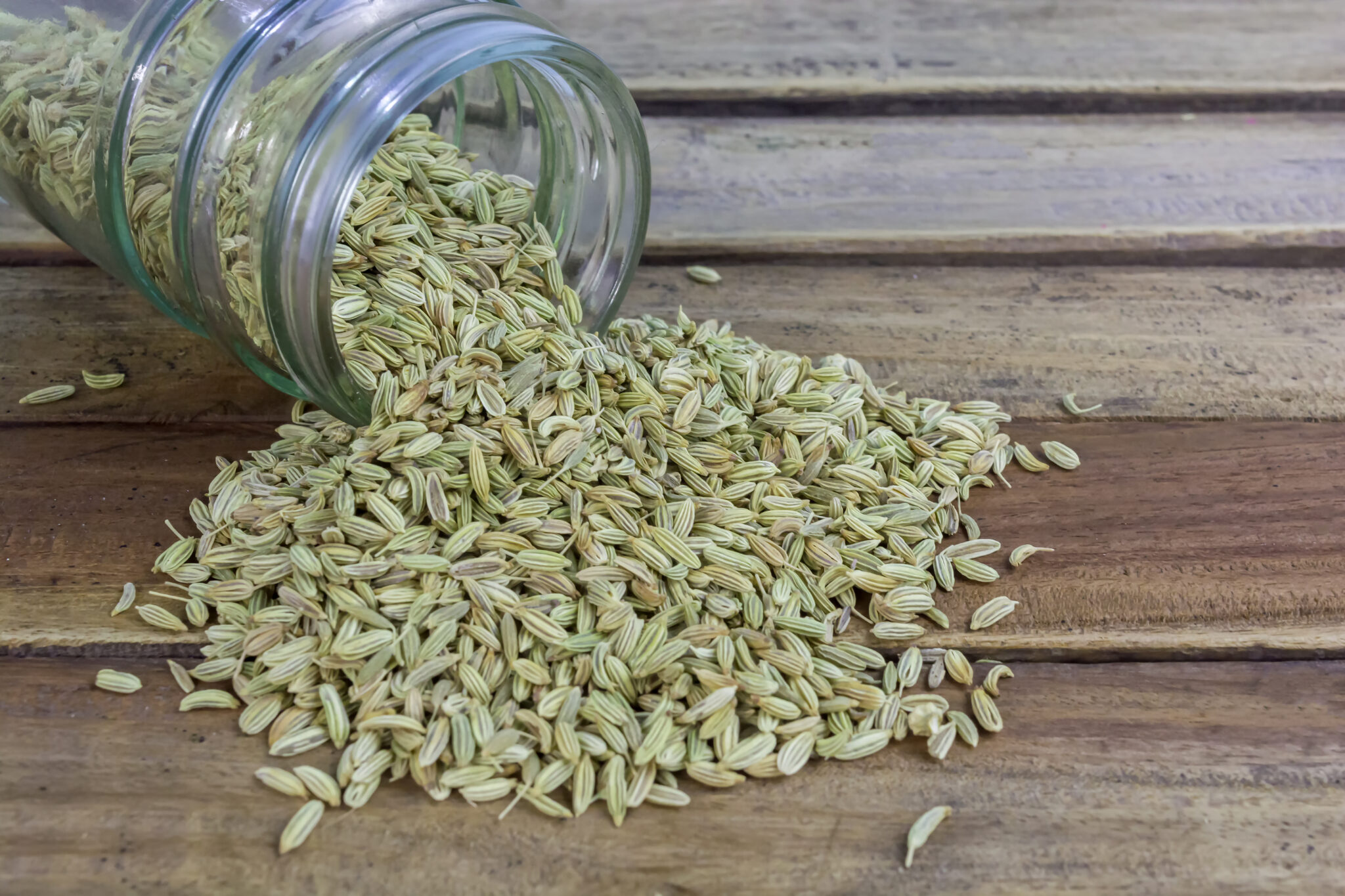 Feeling bloated? Chew on fennel seeds! Get rid of bloating with 5 quick ...